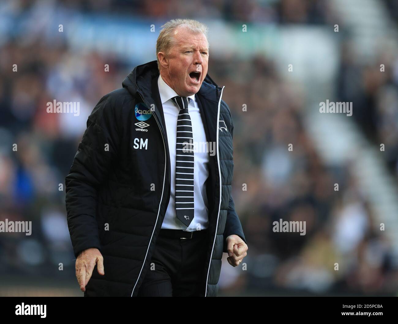 Derby County's manager Steve McClaren Stock Photo - Alamy