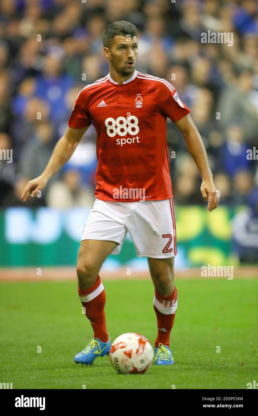 Lichaj forest hi-res stock photography and images - Alamy