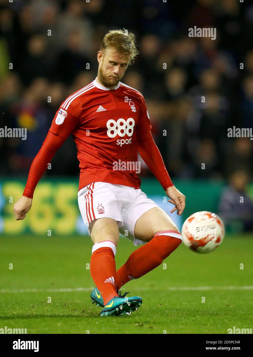 Matt mills forest hi-res stock photography and images - Alamy