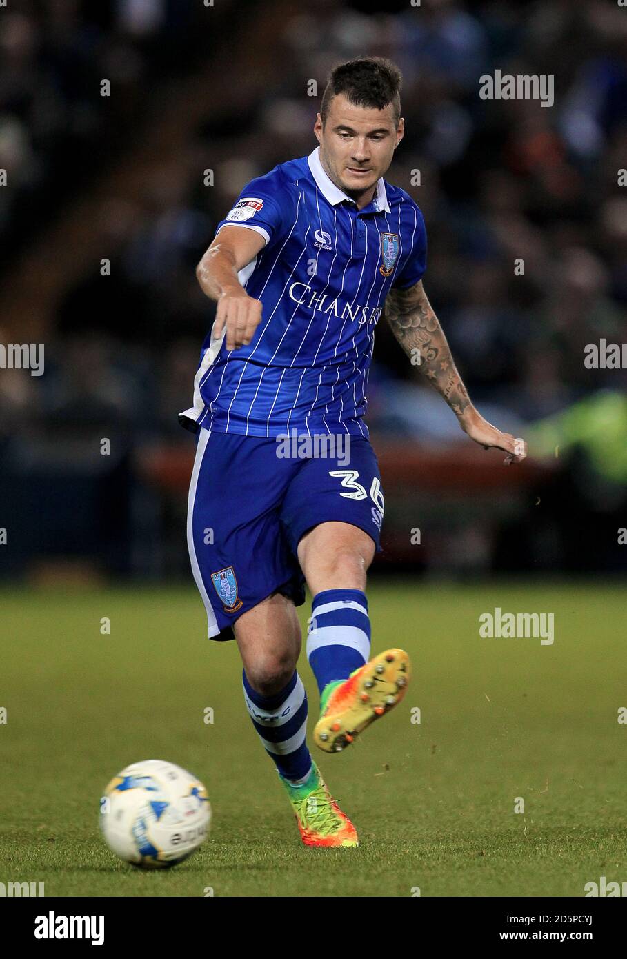 Sheffield Wednesday's Daniel Pudil Stock Photo - Alamy