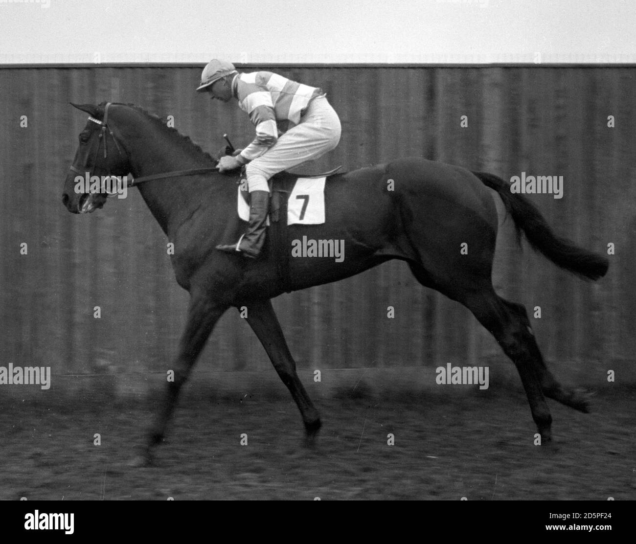 Racehorse, Rolling Rock Stock Photo - Alamy