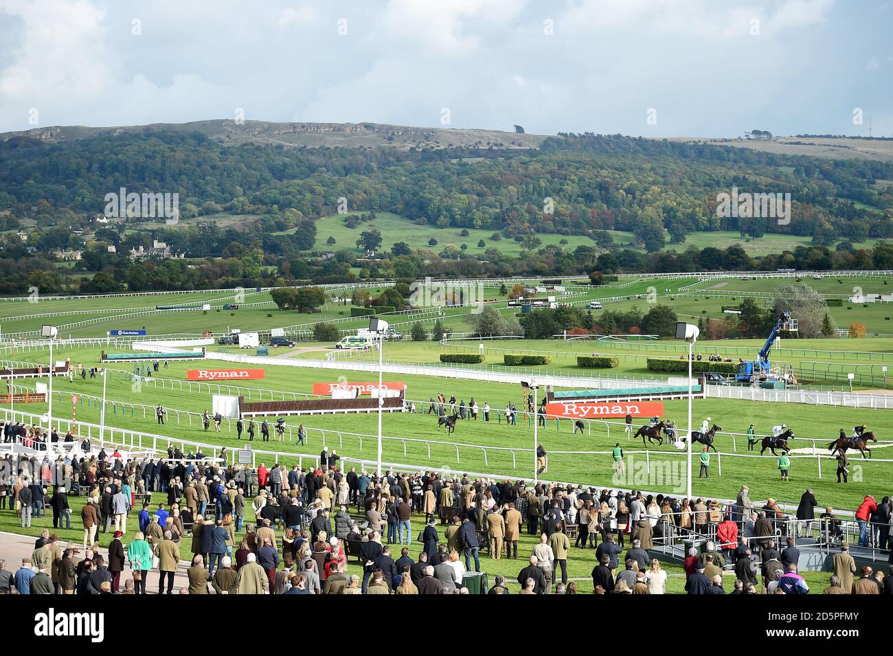Racegoers watch the action at Cheltenham Racecourse Stock Photo - Alamy