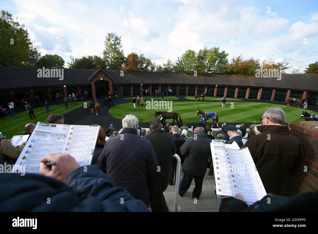 Racegoers watch the horses in the pre parade ring at Cheltenham ...