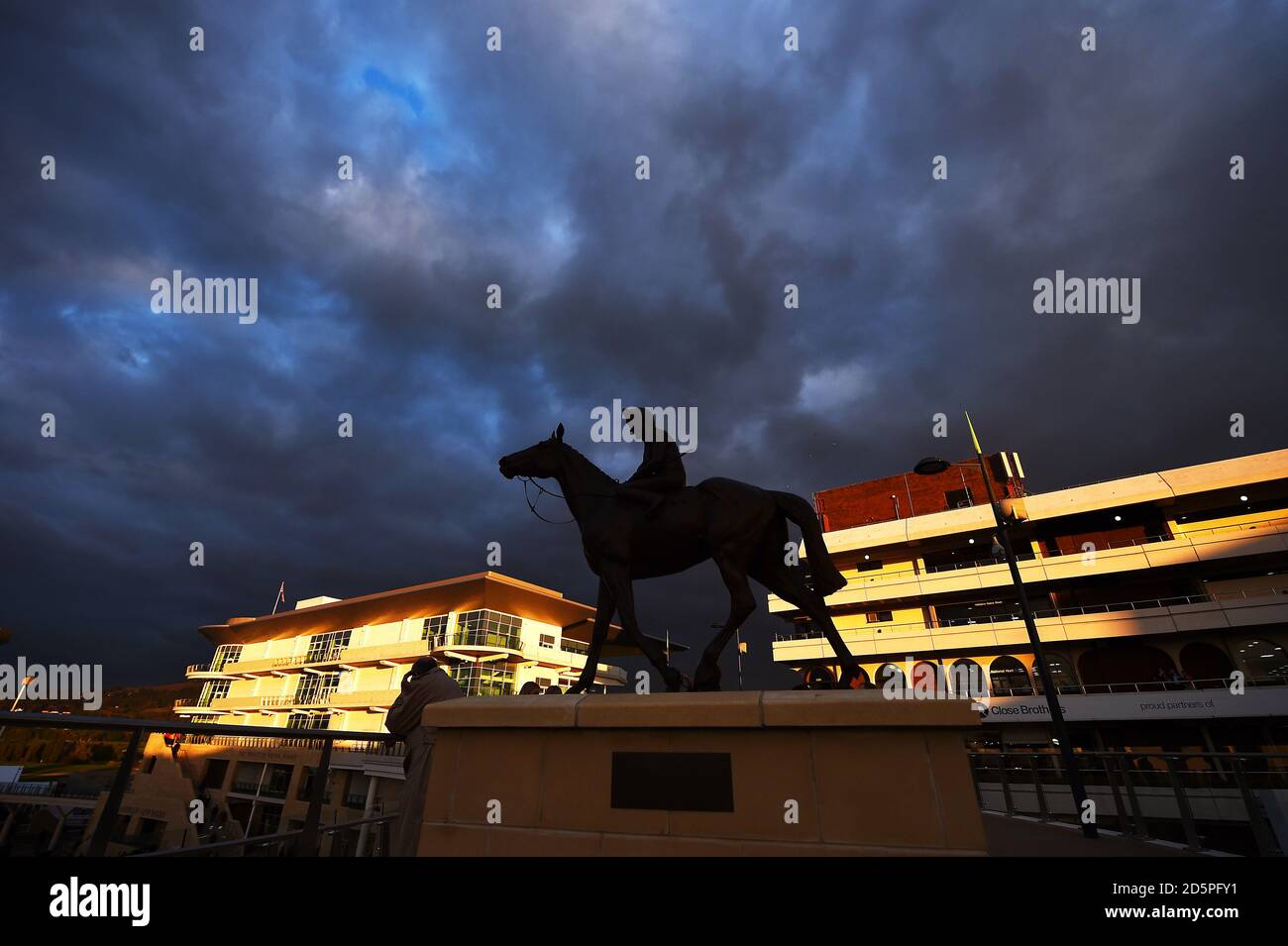 Dawn run horse hi-res stock photography and images - Alamy