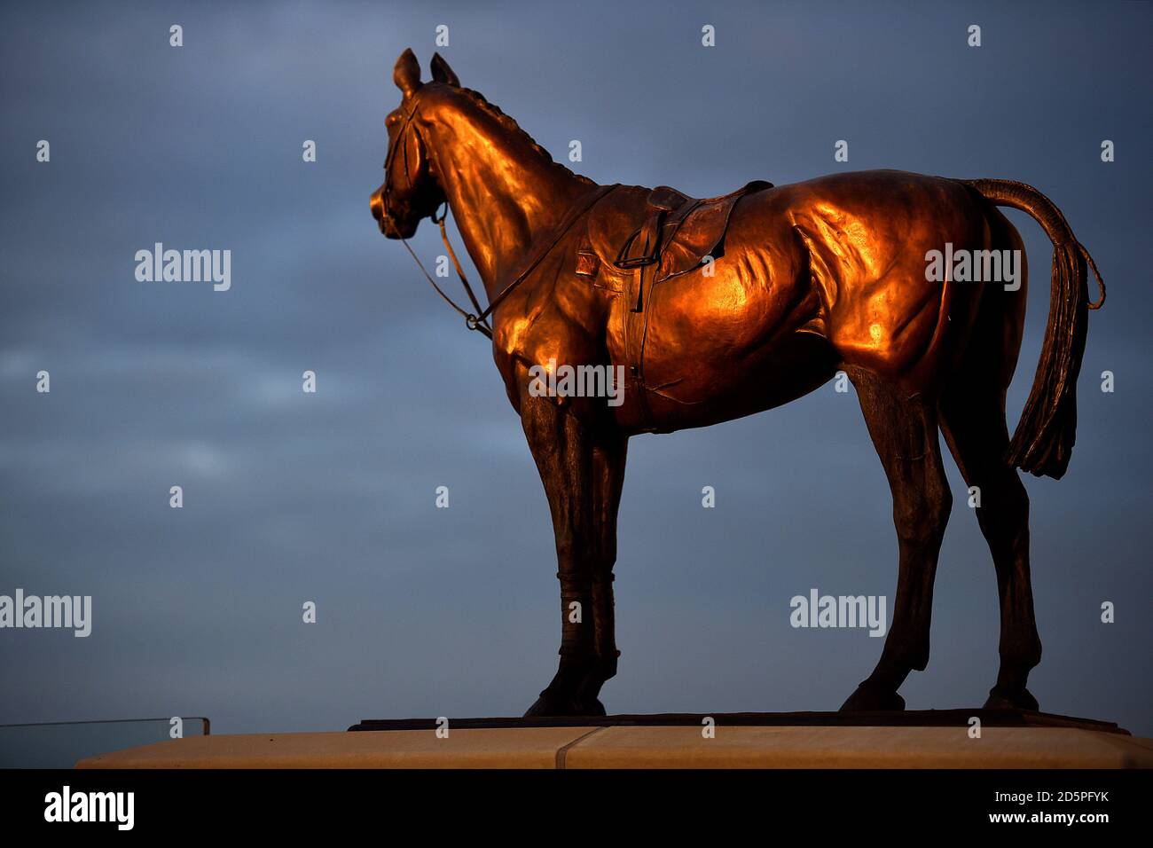 Arkle horse hi-res stock photography and images - Alamy