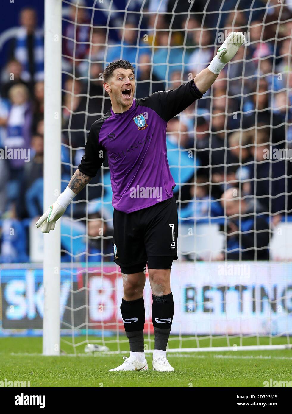 Sheffield Wednesday goalkeeper Keiren Westwood Stock Photo - Alamy