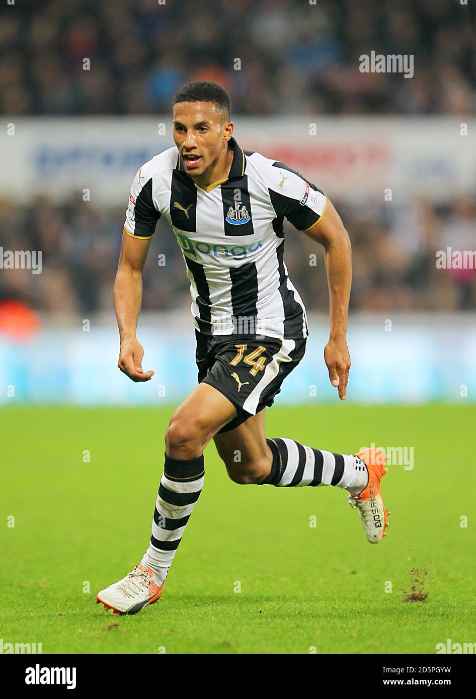 Isaac Hayden, Newcastle United Stock Photo - Alamy