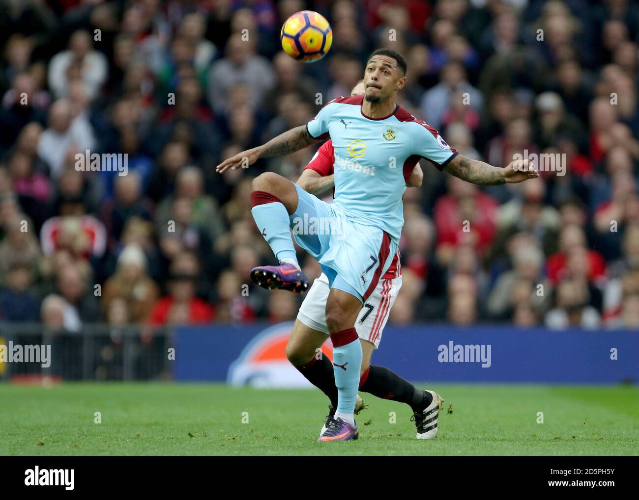 Andre gray back hi-res stock photography and images - Alamy