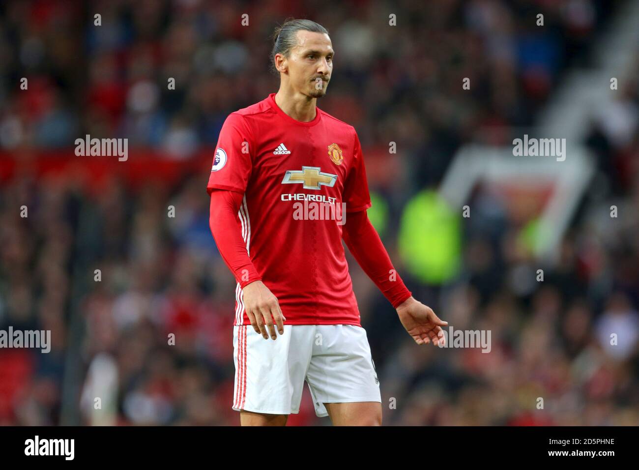 Zlatan Ibrahimovic, Manchester United Stock Photo - Alamy