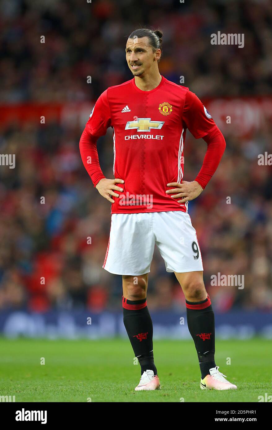 Zlatan Ibrahimovic, Manchester United Stock Photo - Alamy