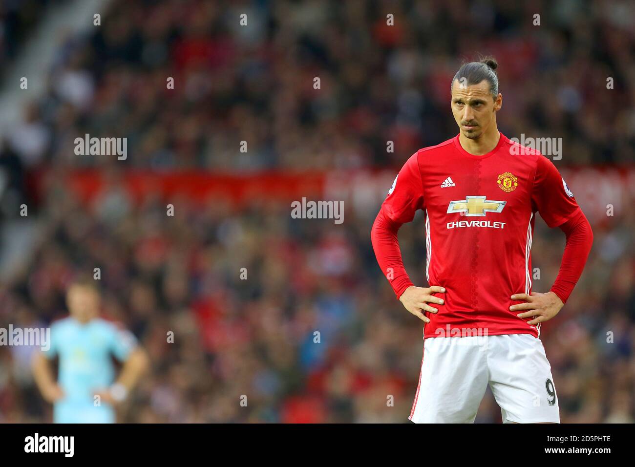 Zlatan Ibrahimovic, Manchester United Stock Photo - Alamy