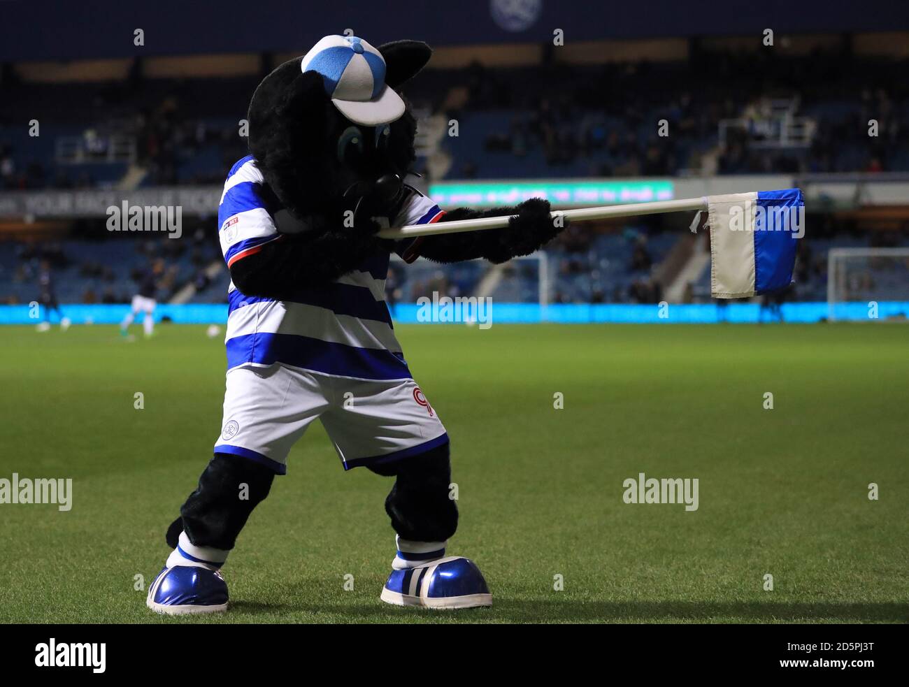 Queens park rangers mascot jude the cat hi-res stock photography and ...