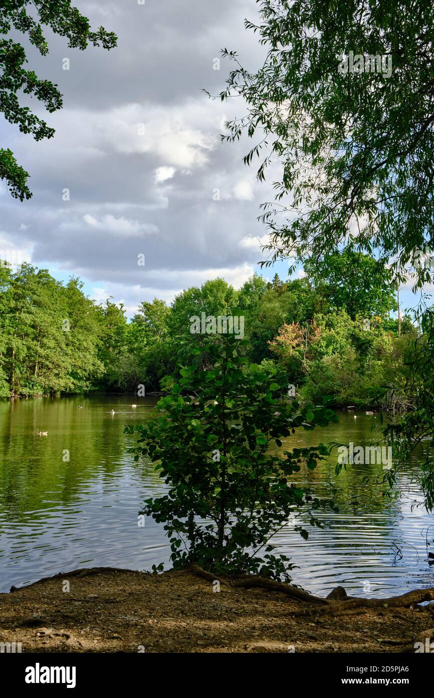 Greenhill Gardens, a public park in New Barnet, London, UK. It is an ...
