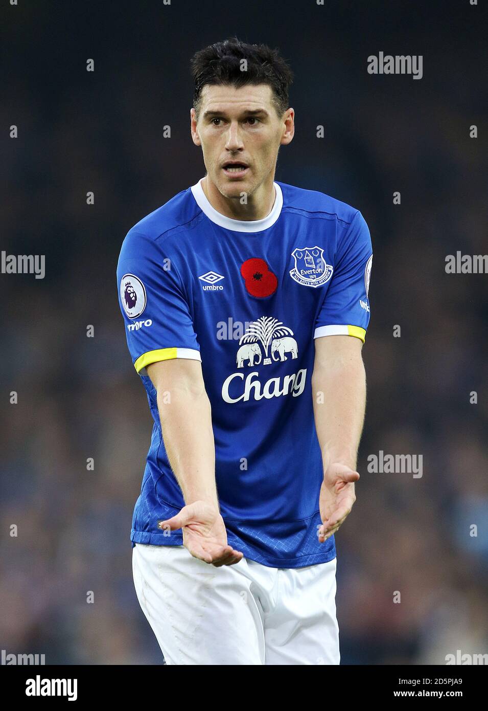 Everton's Gareth Barry Stock Photo - Alamy