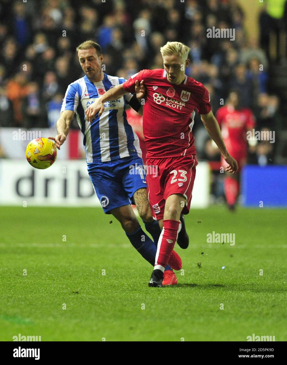 Bristol City's Hordur Magnusson and Brighton & Hove Albion's Glen ...