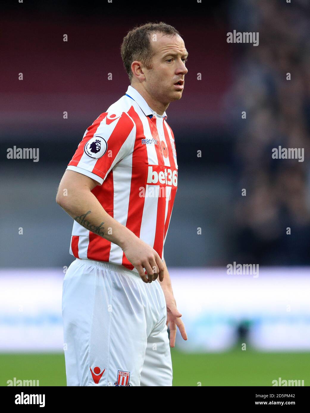 Stoke City's Charlie Adam Stock Photo - Alamy