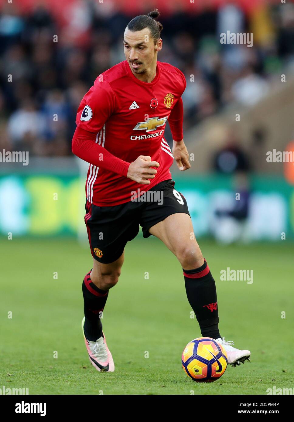 Manchester United's Zlatan Ibrahimovic Stock Photo - Alamy