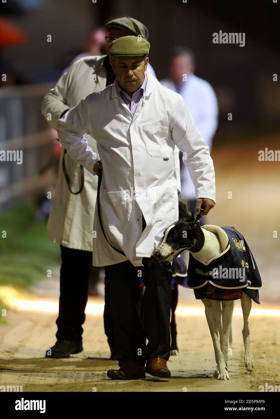 William Hill St Leger Final Cloran Paddy being lead to the gate before ...