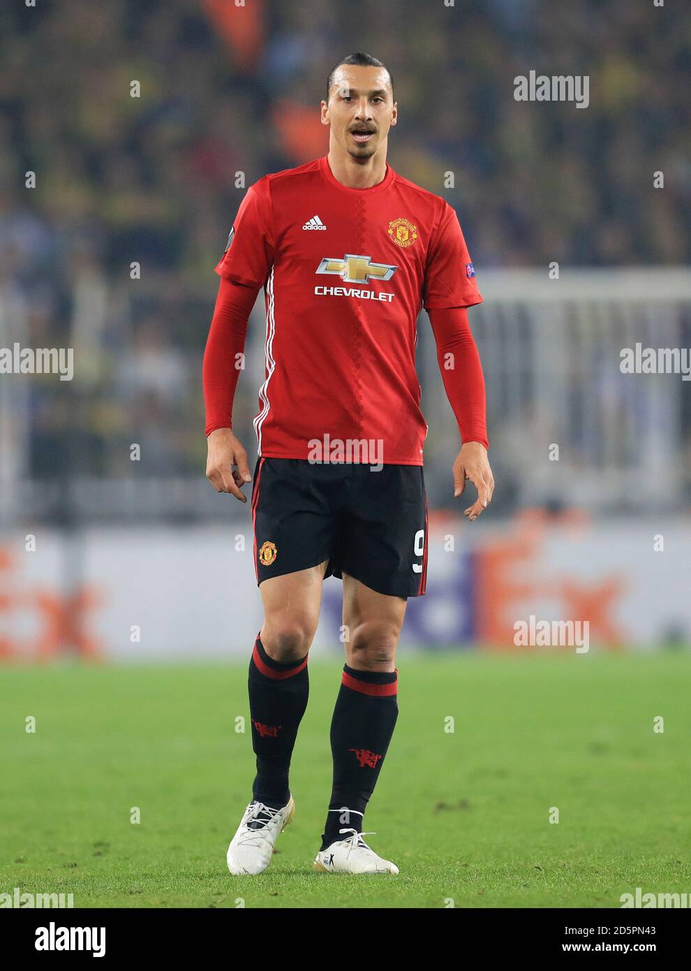 Manchester United's Zlatan Ibrahimovic Stock Photo - Alamy