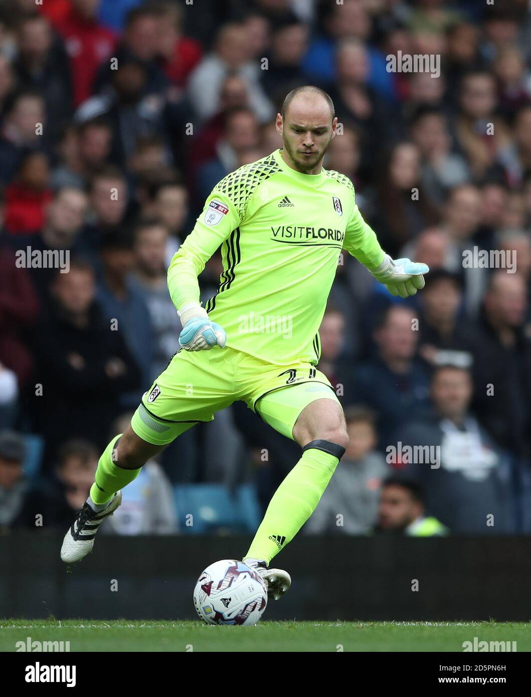 Fulham goalkeeper David Button Stock Photo - Alamy