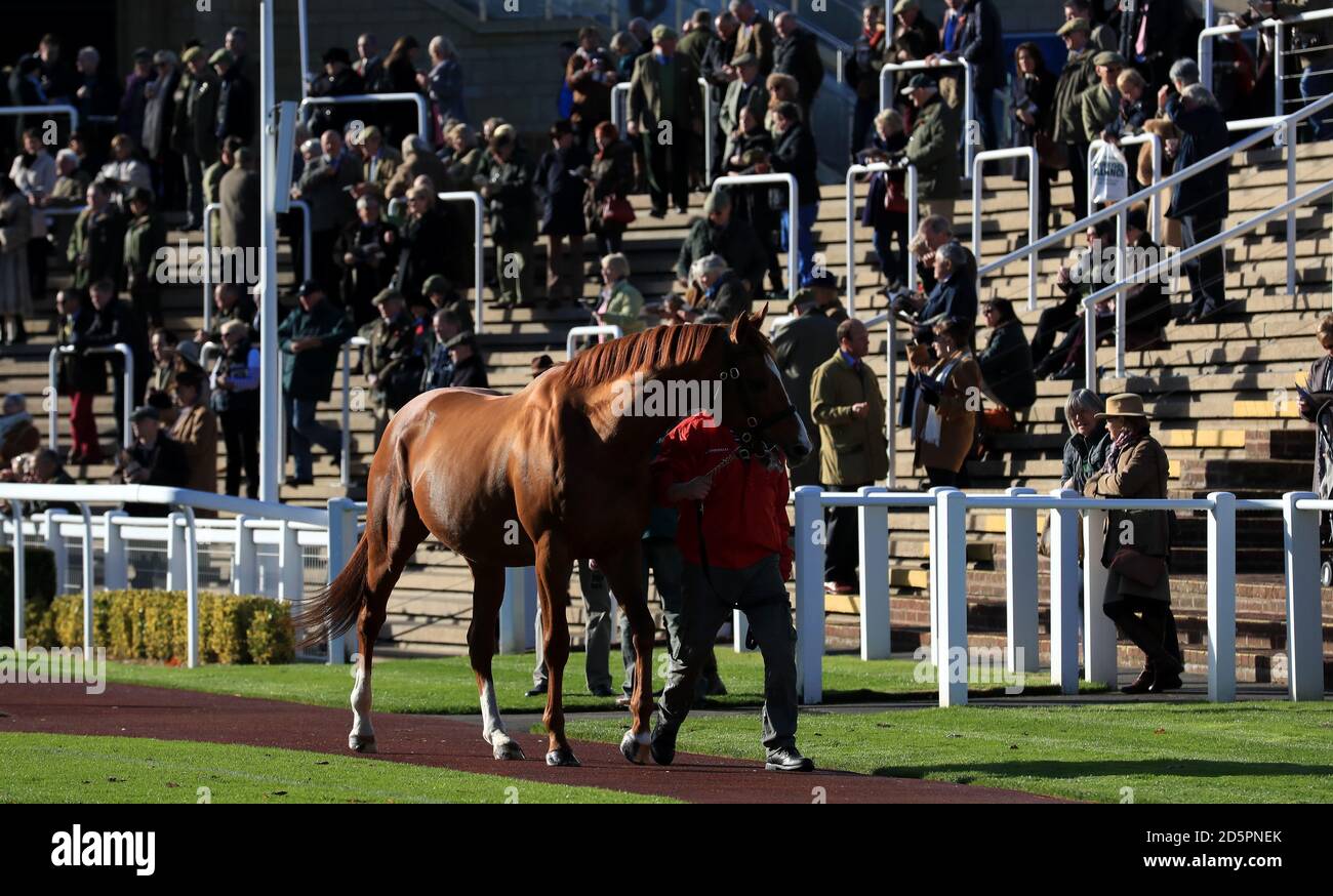 Horse racing cheltenham open hi-res stock photography and images - Alamy