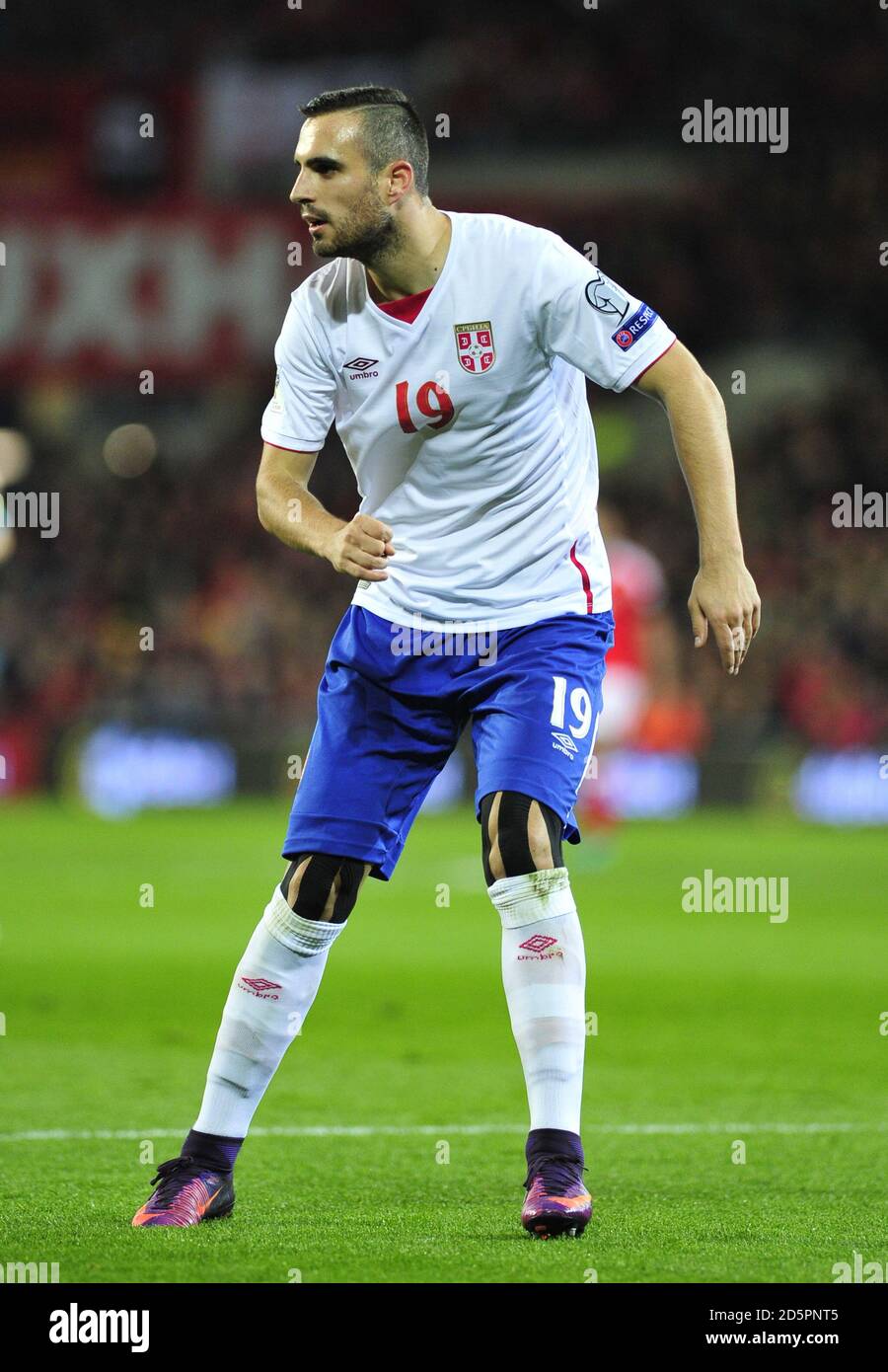 Serbia's Nikola Maksimovic Stock Photo - Alamy