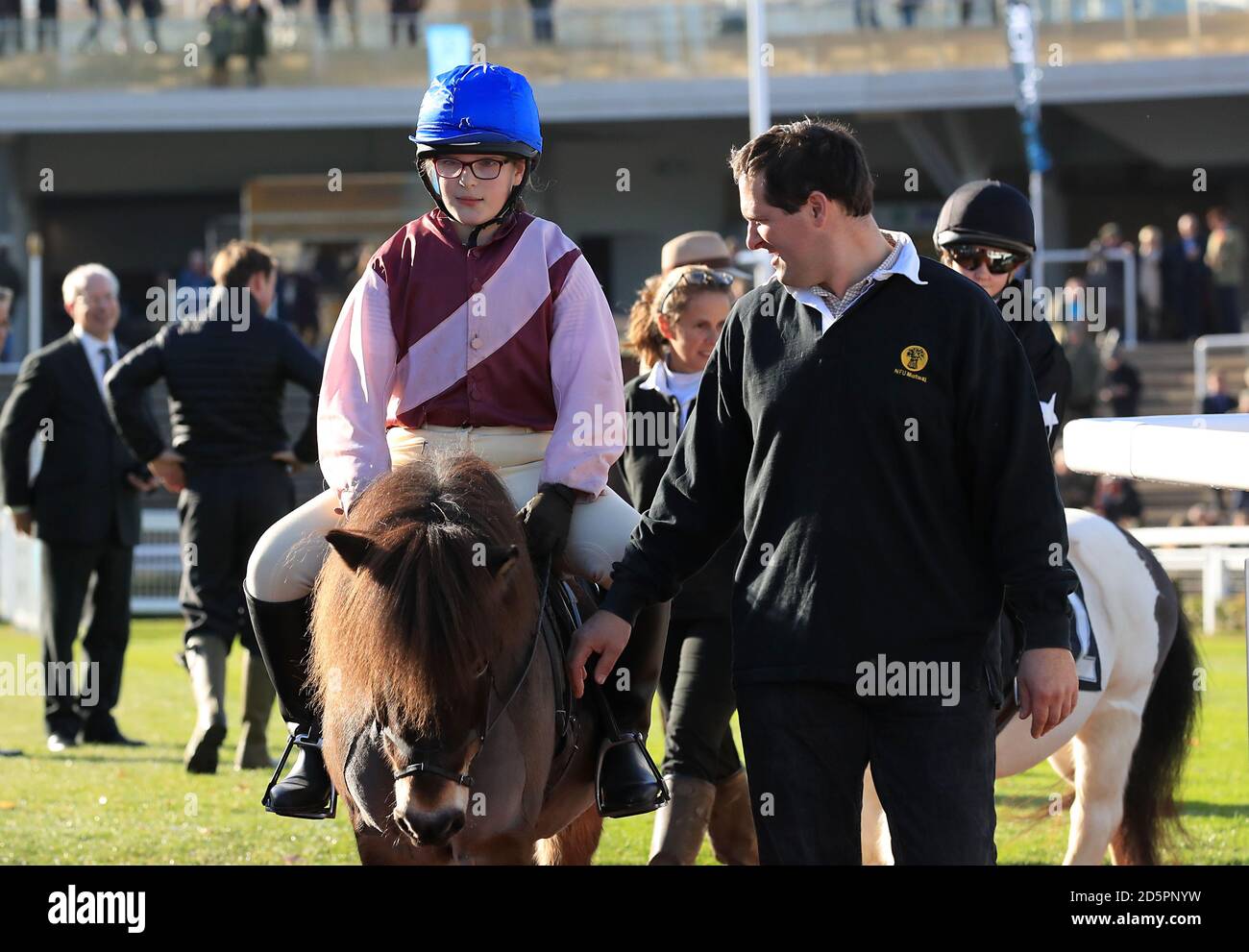 Races shetland pony hi-res stock photography and images - Alamy