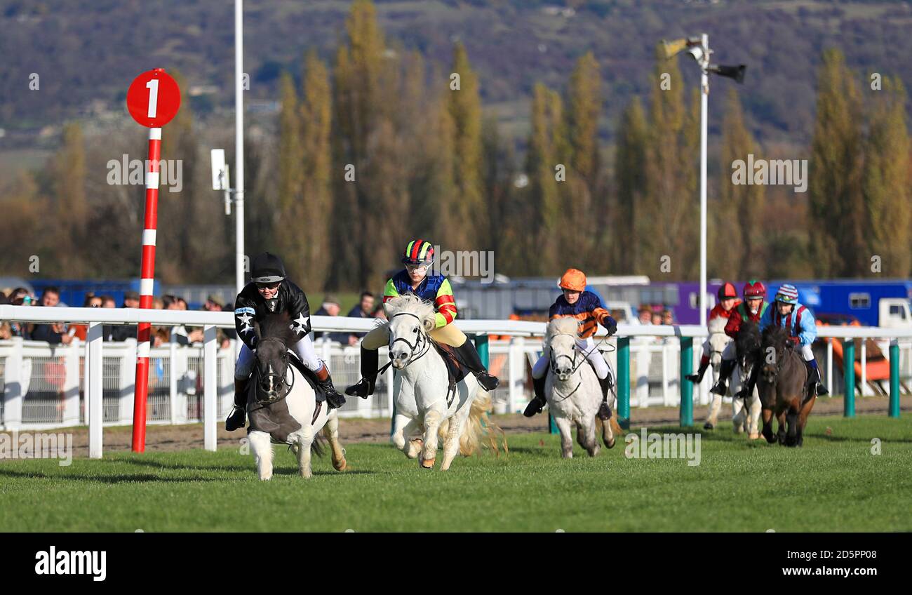 Runners and riders compete in the Shetland pony race Stock Photo - Alamy