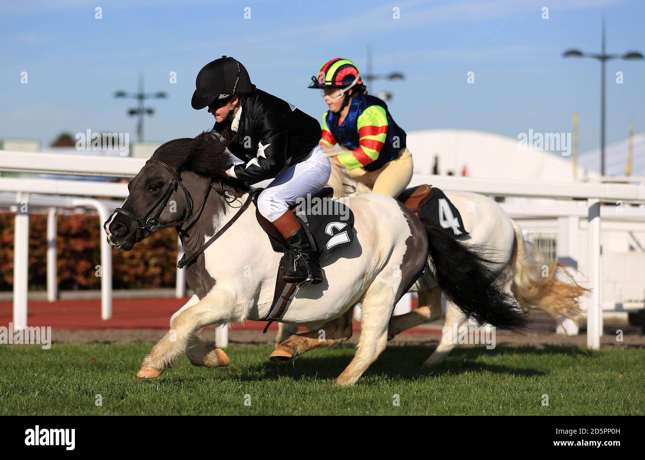 Races shetland pony hi-res stock photography and images - Alamy
