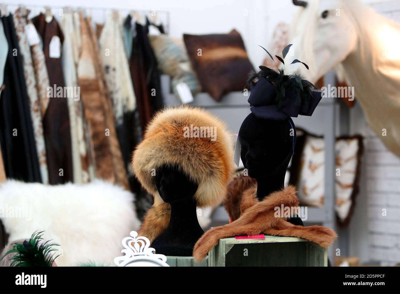 Cheltenham racing sale hi-res stock photography and images - Alamy