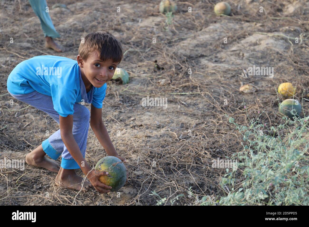 Rotten Watermelon High Resolution Stock Photography and Images - Alamy