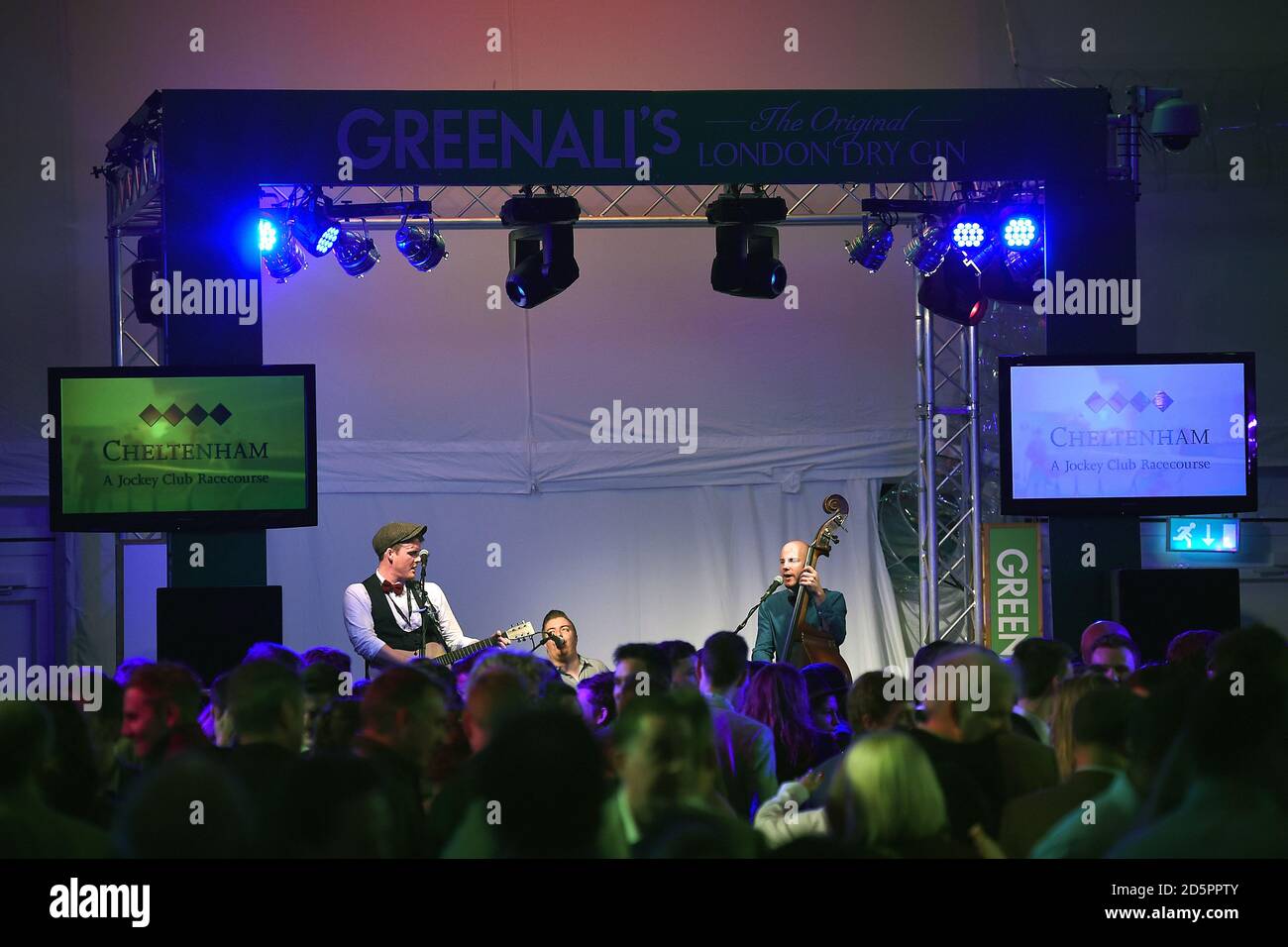 Thrill Collins play in the Final Flight bar at Cheltenham Racecourse ...