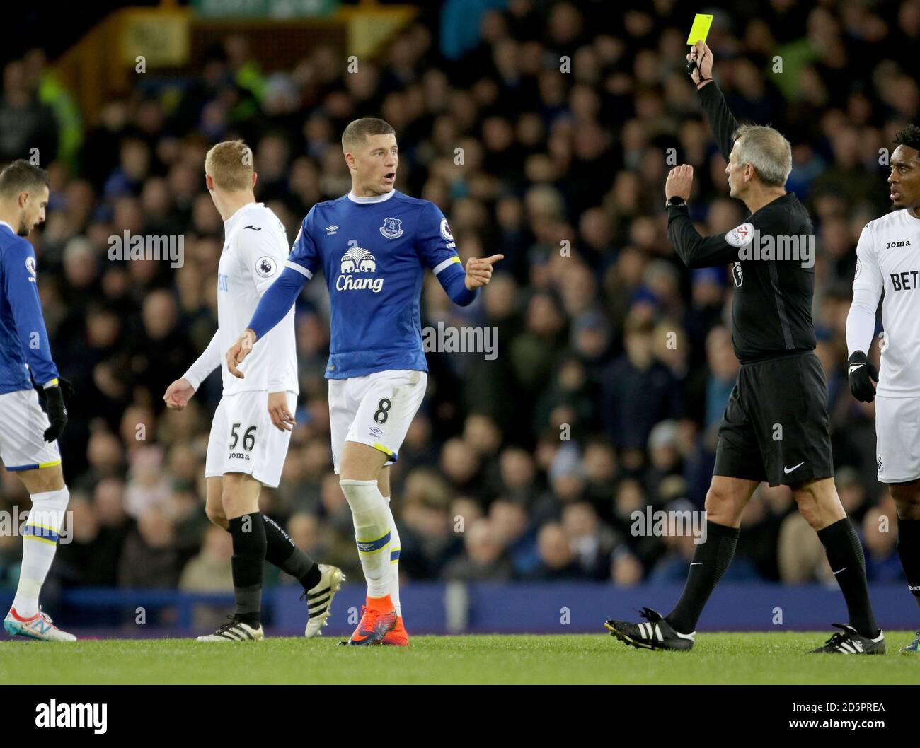 Ross atkinson hi-res stock photography and images - Alamy