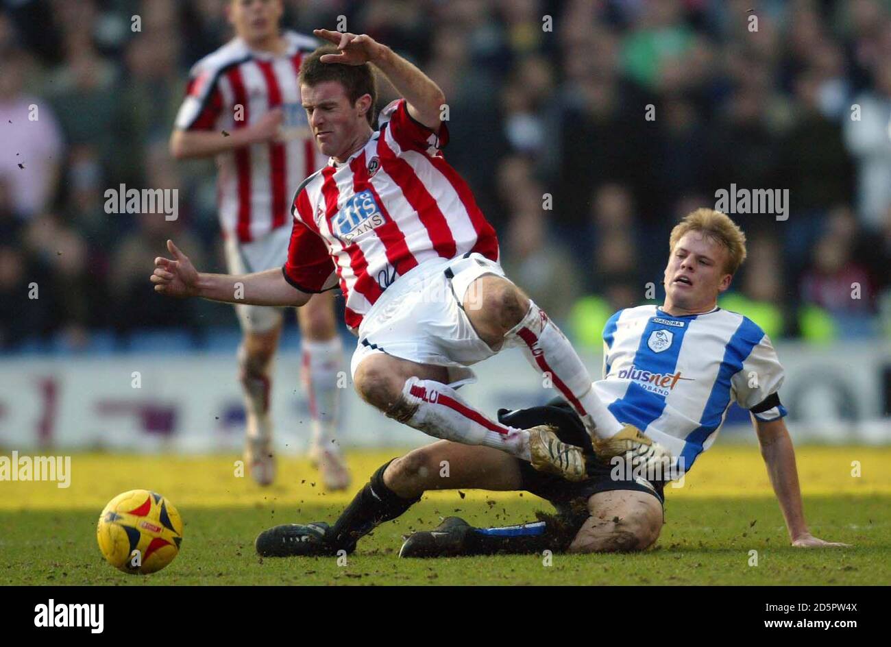 Simek hi-res stock photography and images - Alamy