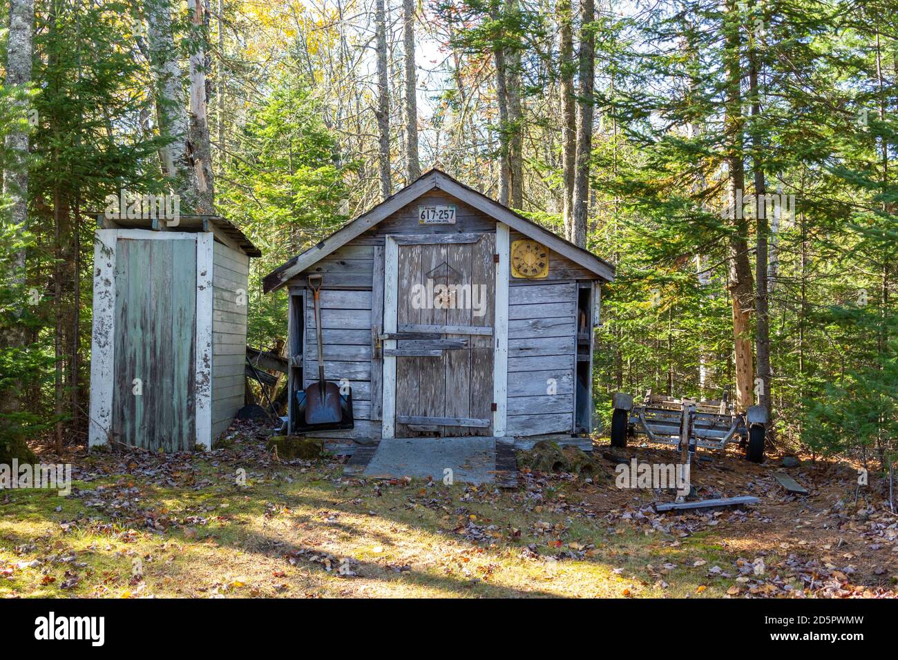 Old shed hidden in the woods Stock Photo - Alamy