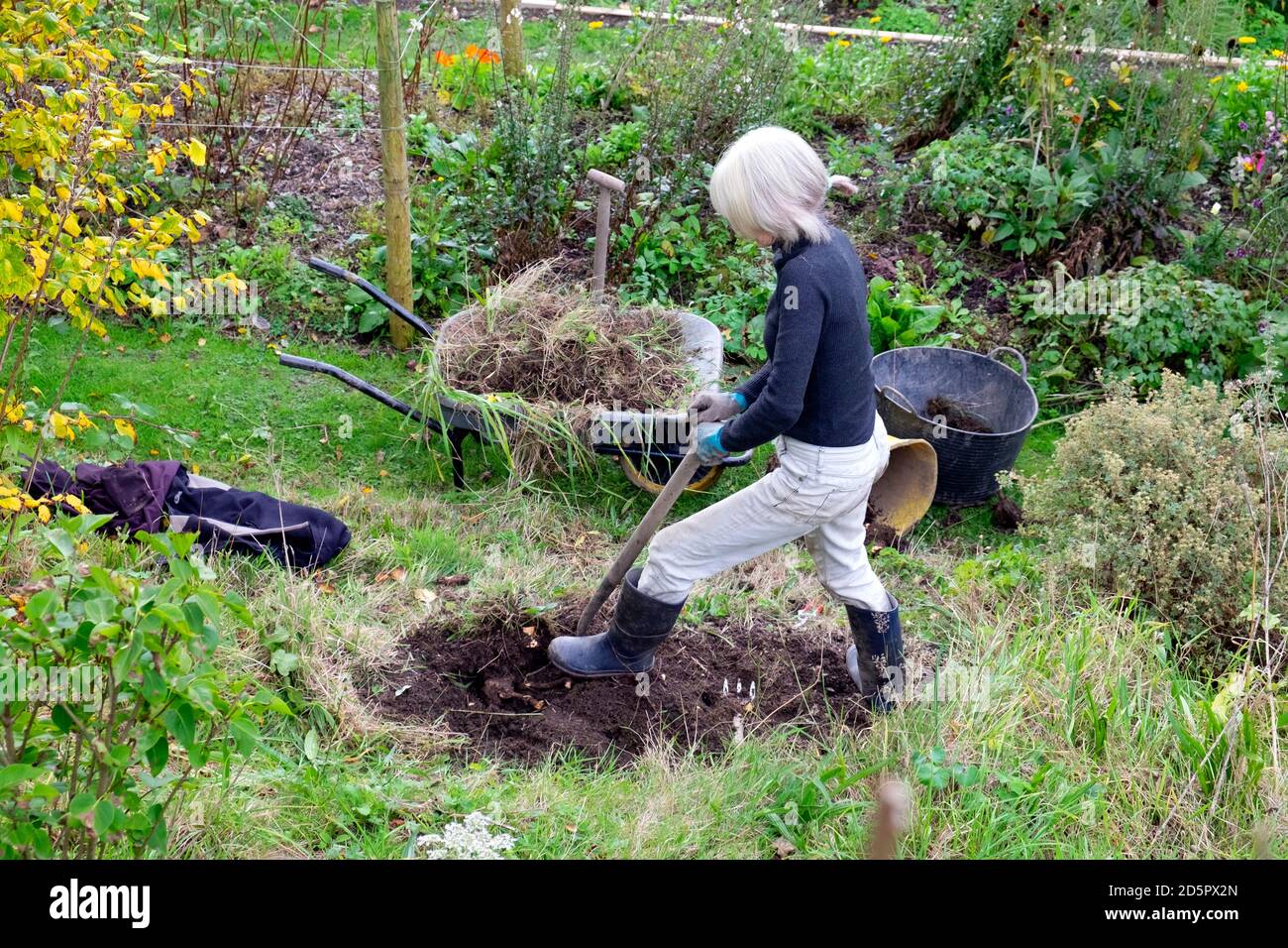 Digging up stump hi-res stock photography and images - Alamy