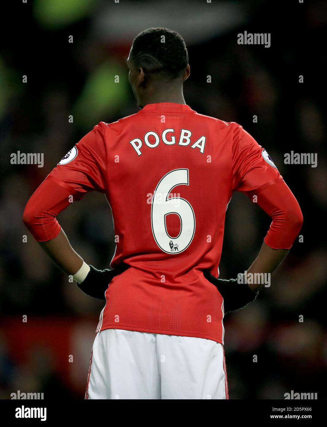 Manchester United's Paul Pogba Stock Photo - Alamy