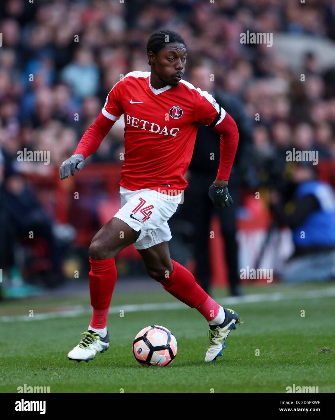 Jordan botaka hi-res stock photography and images - Alamy