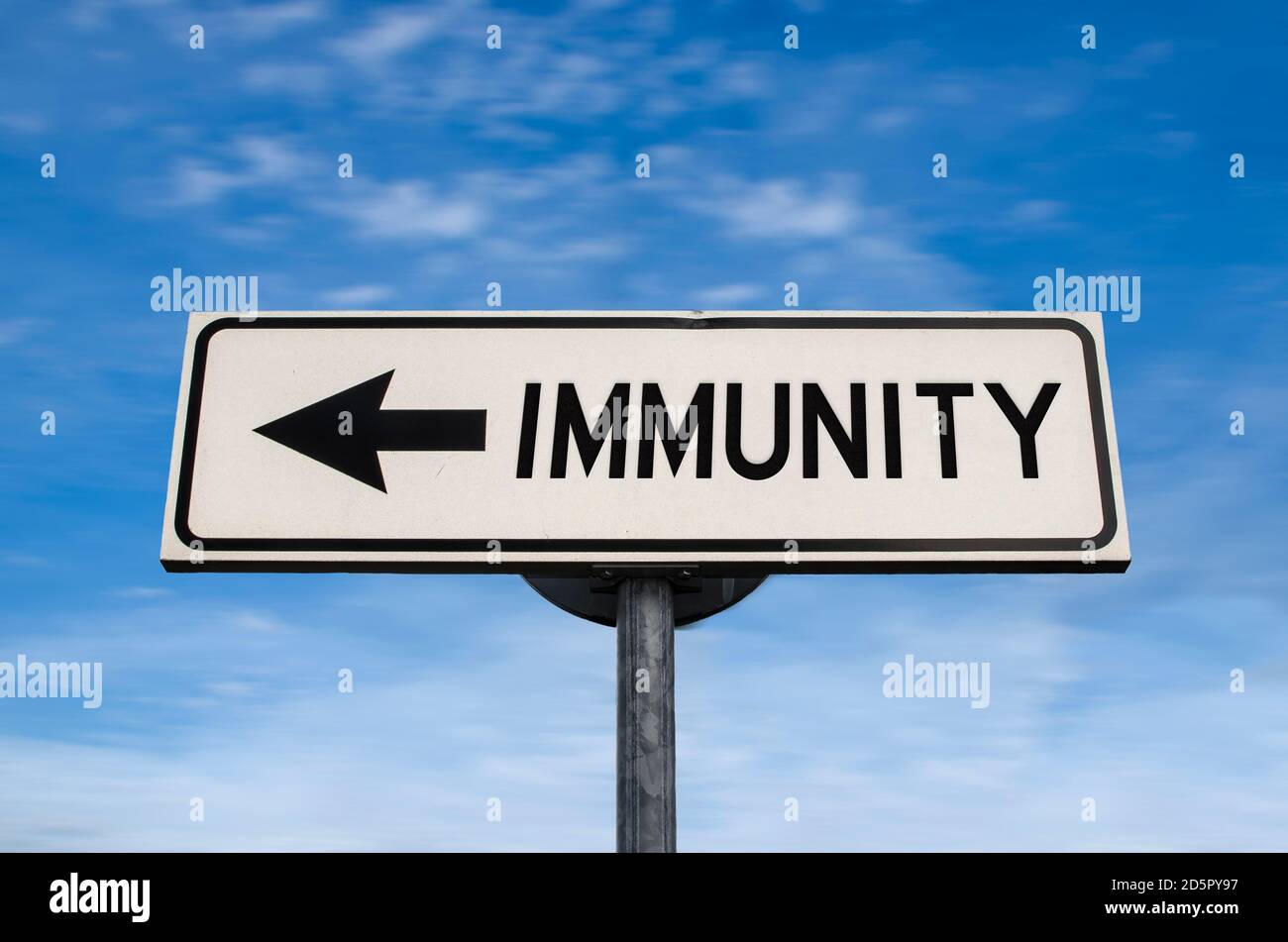 Immunity road sign, arrow on blue sky background. One way blank road ...
