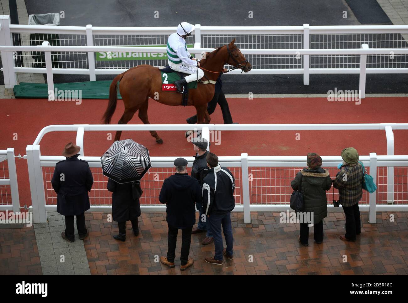 Cheltenham parade ring hi-res stock photography and images - Alamy
