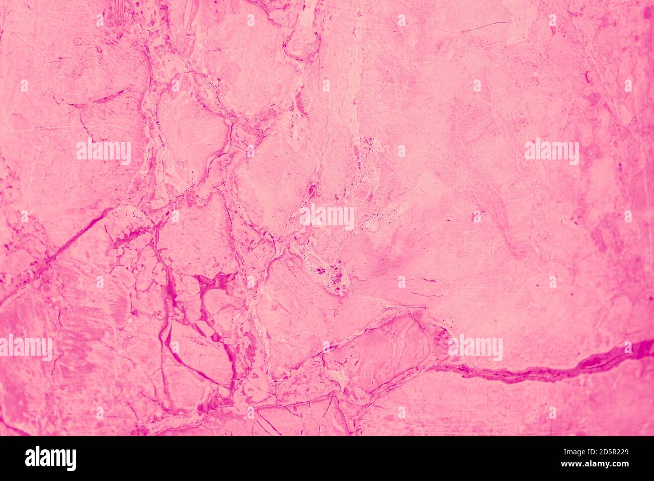 Fuchsia color wall with marble pattern. Stone surface texture ...