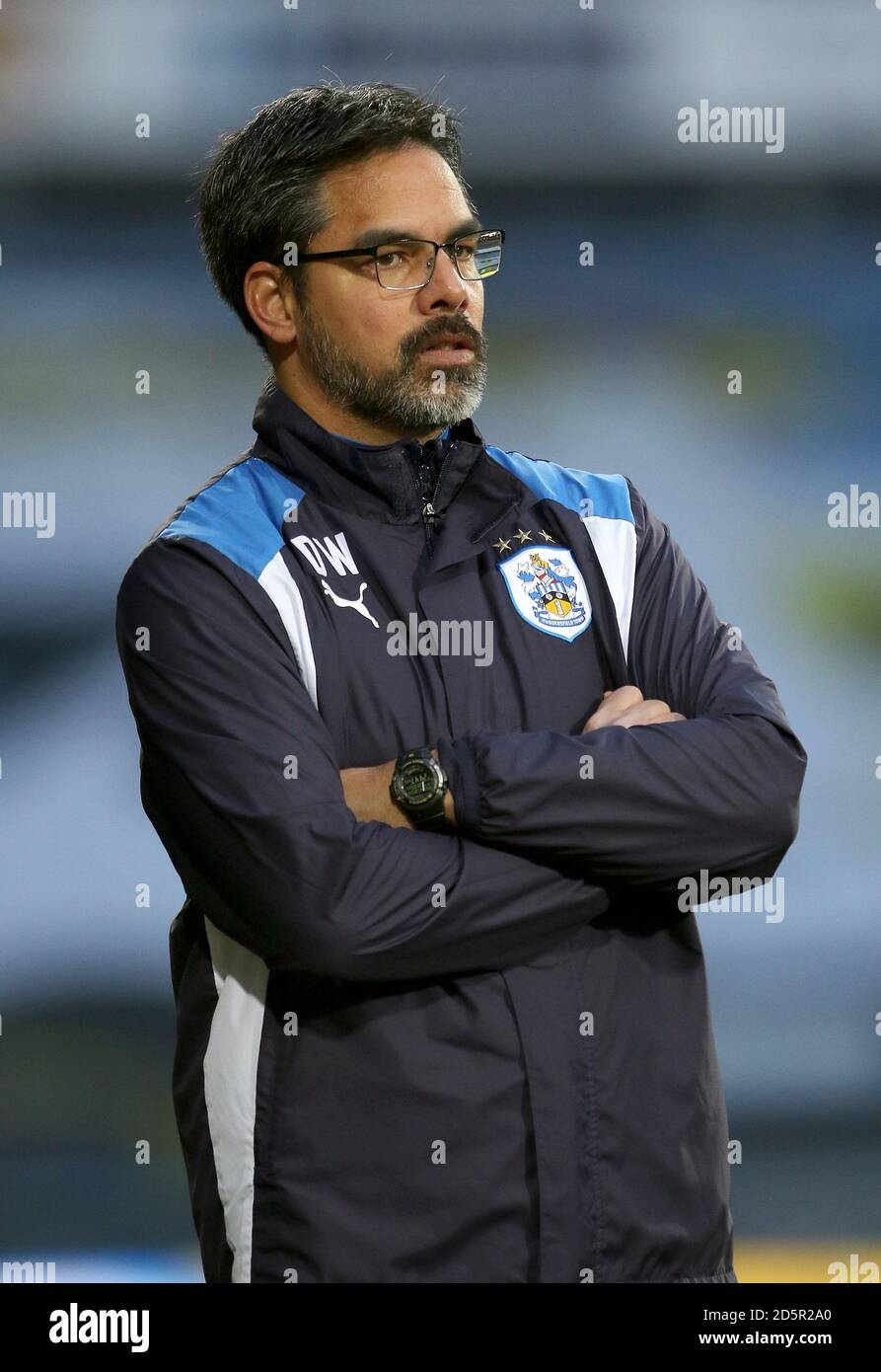 Huddersfield Town manager David Wagner Stock Photo - Alamy