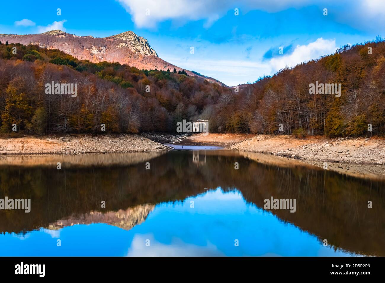 Colorful trees and leaves in autumn in the Montseny Natural Park in ...