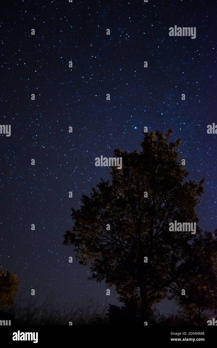 Outdoor with sight of stars hi-res stock photography and images - Alamy