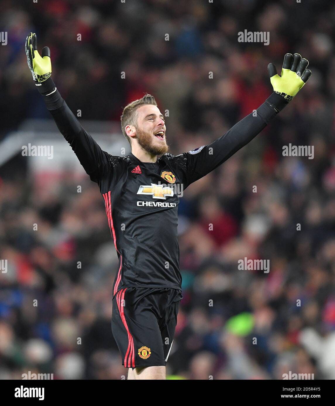 Manchester United goalkeeper David De Gea celebrates the victory Stock ...