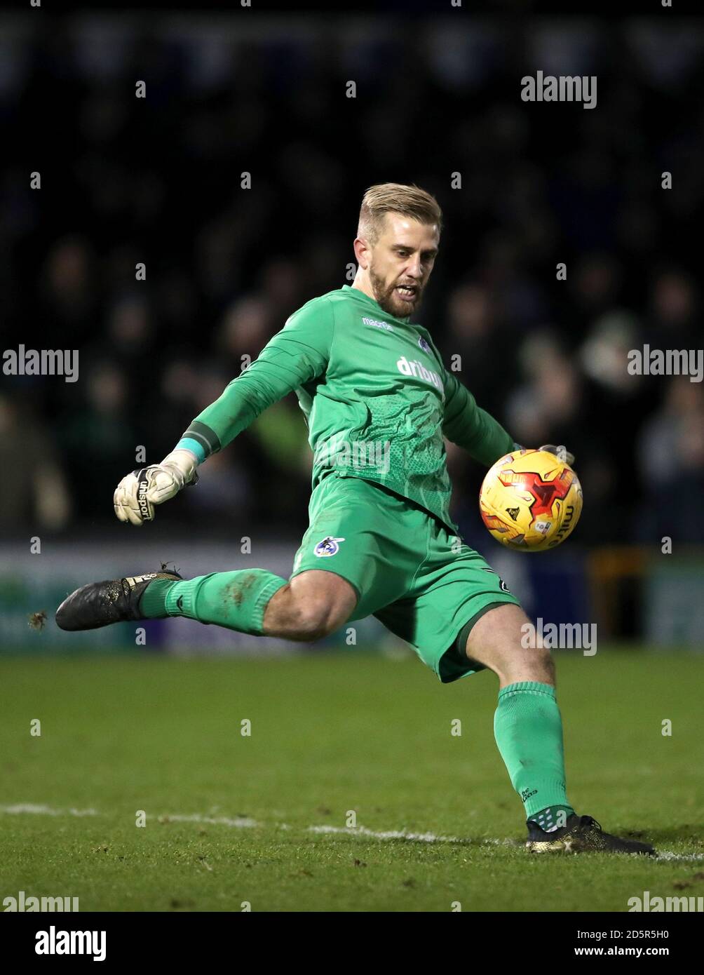 Puddy hi-res stock photography and images - Alamy