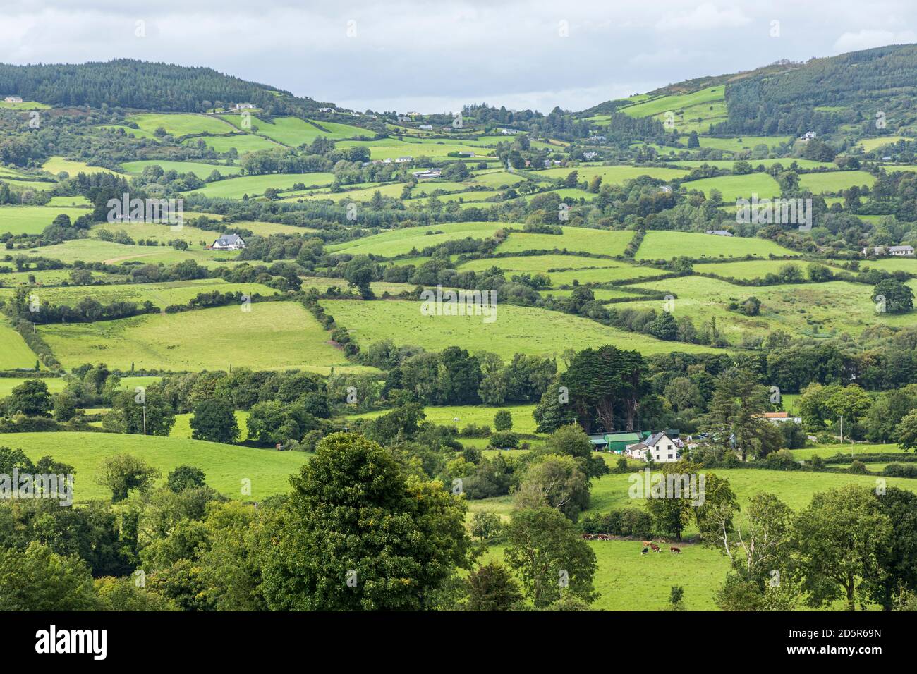 Green fields of ireland hi-res stock photography and images - Alamy
