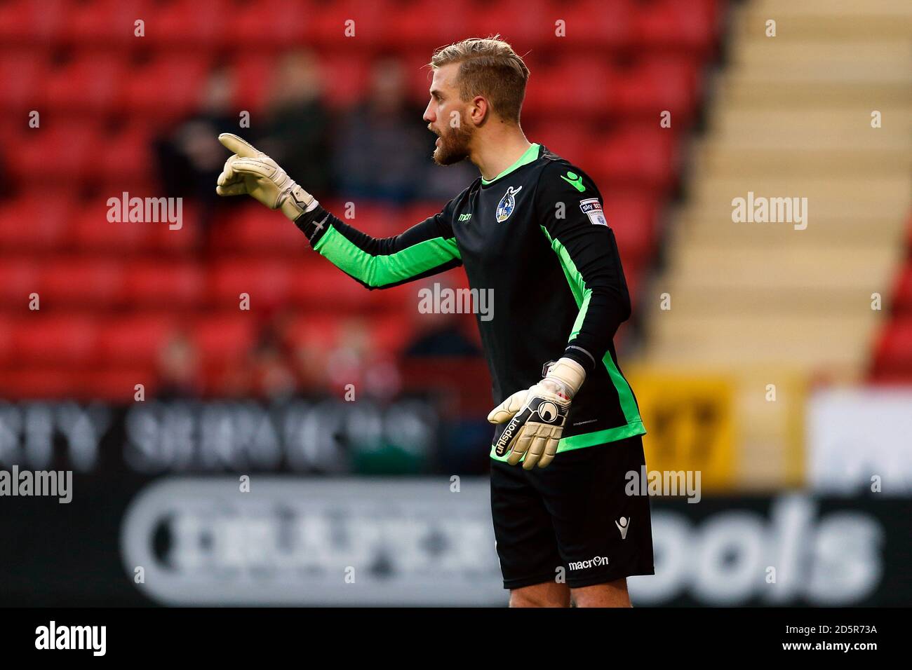 Puddy High Resolution Stock Photography and Images - Alamy