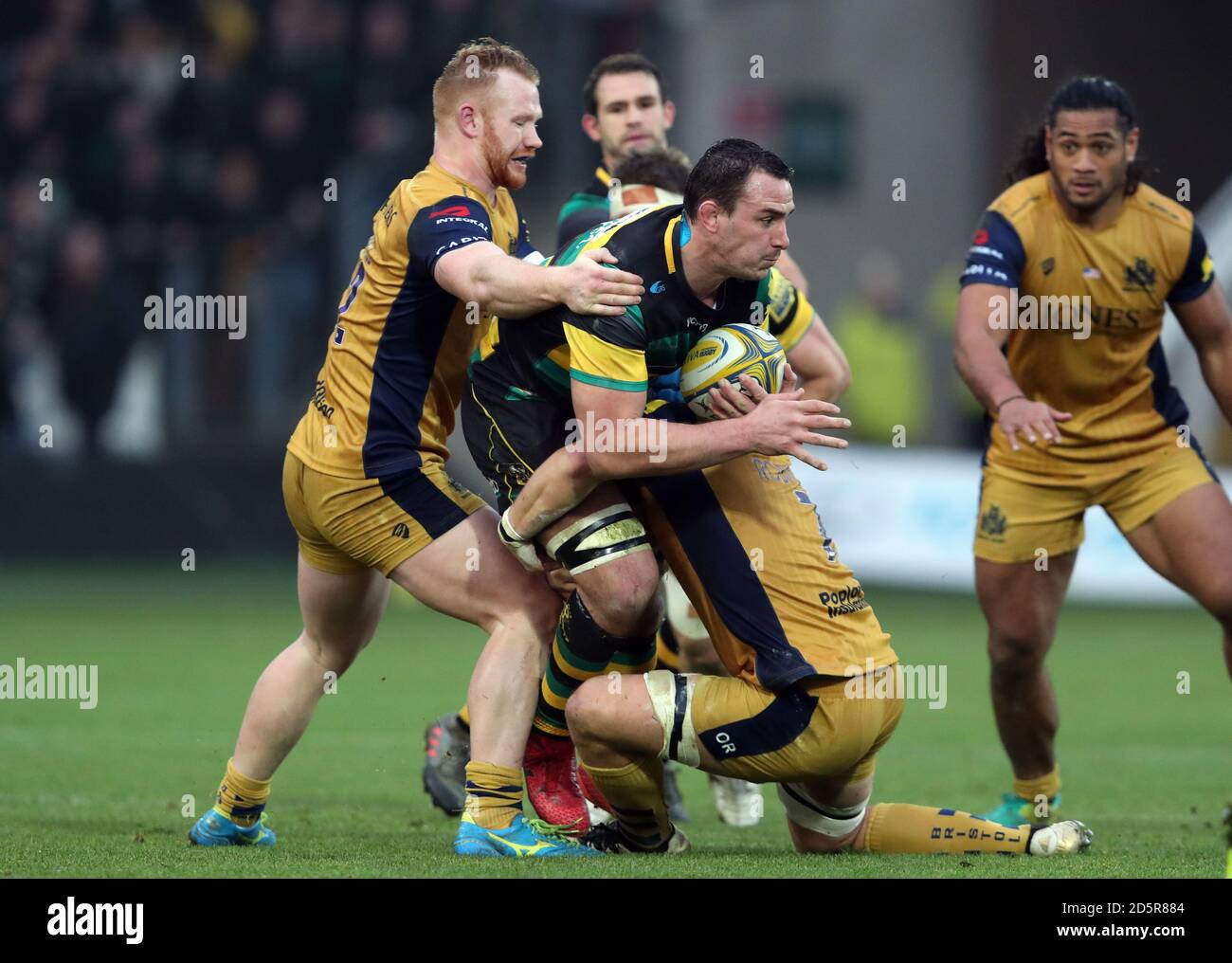 Northampton Saints' Louis Picamoles and Bristol Rugby's Will Hurrell ...