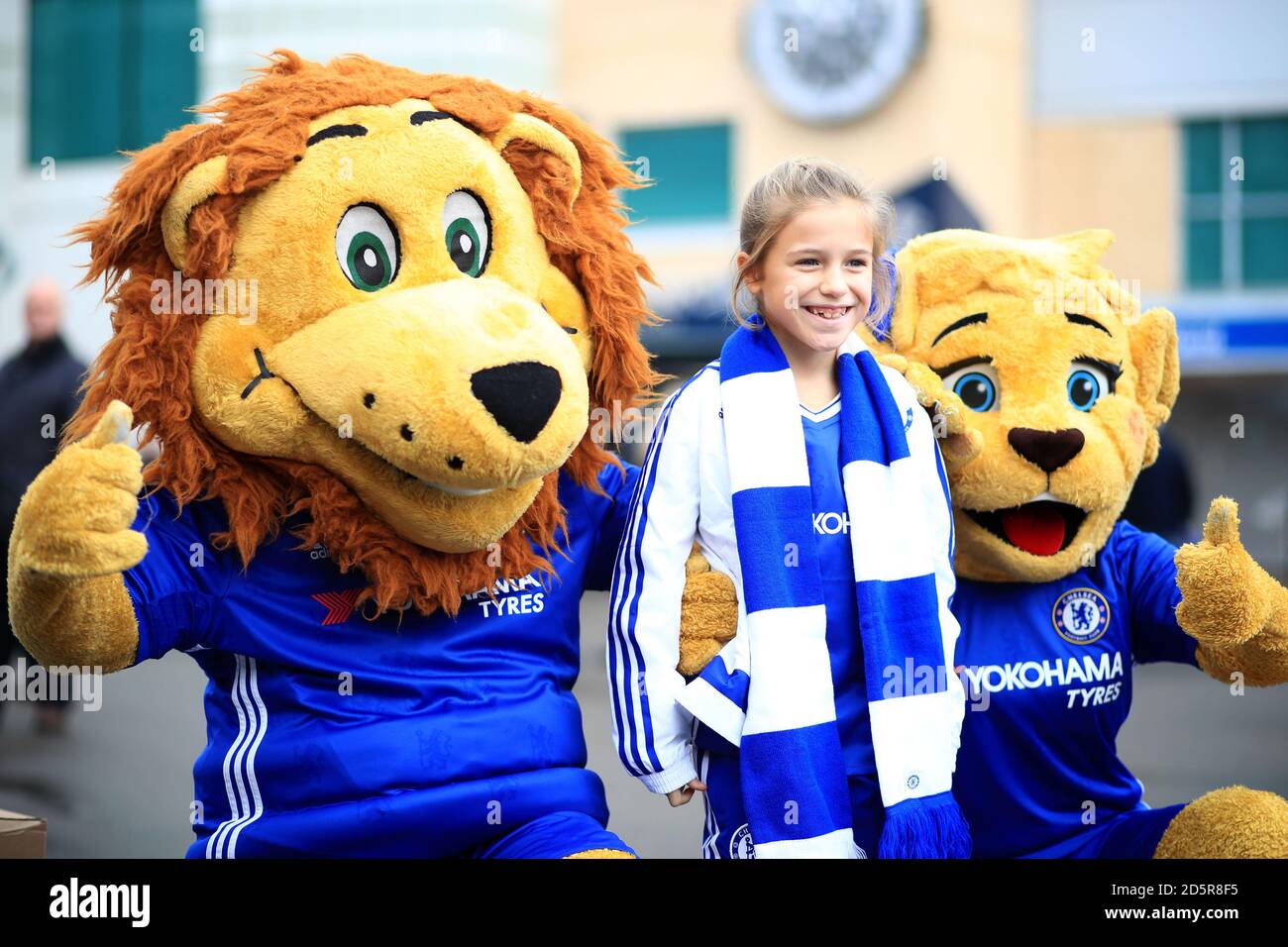Football lioness hi-res stock photography and images - Alamy